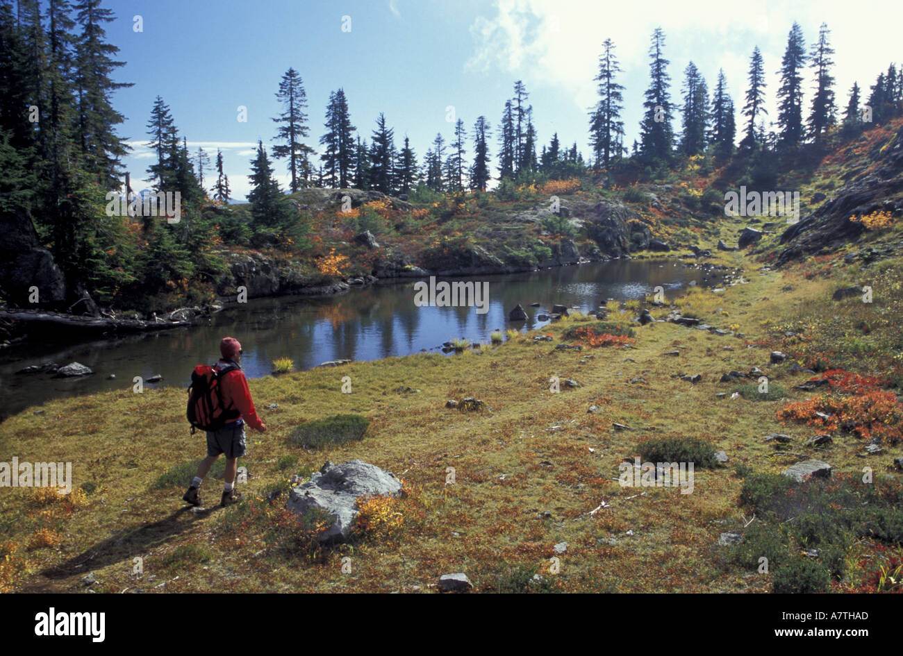 North America, USA, Washington, Alpine Lakes Wilderness. Alpine tarn ...