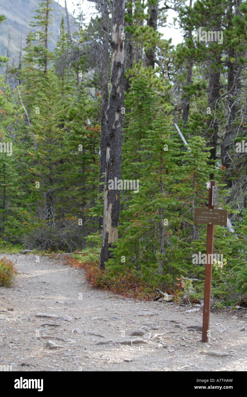 A fork in the trail Stock Photo - Alamy