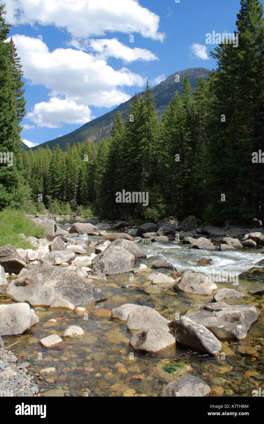 river bend in forest Stock Photo - Alamy
