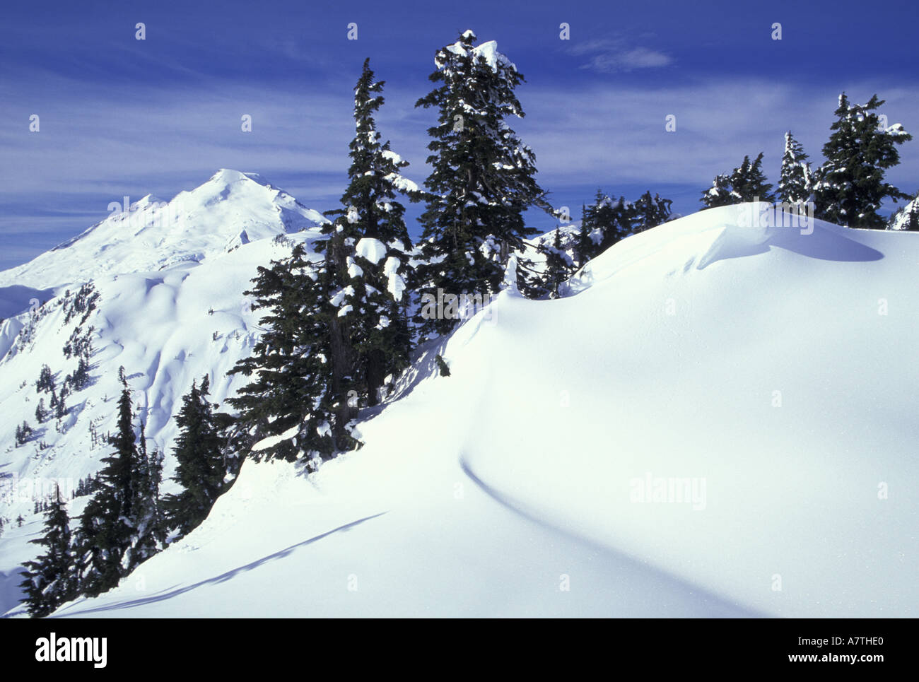 North America, USA, Washington, Heather Meadows Recreation Area. Mt ...