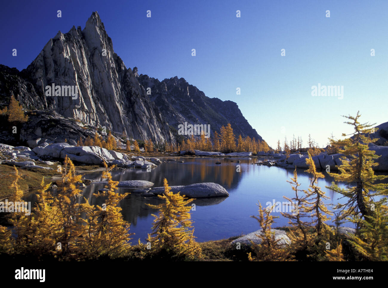 Golden larches and prusik peak hi-res stock photography and images - Alamy