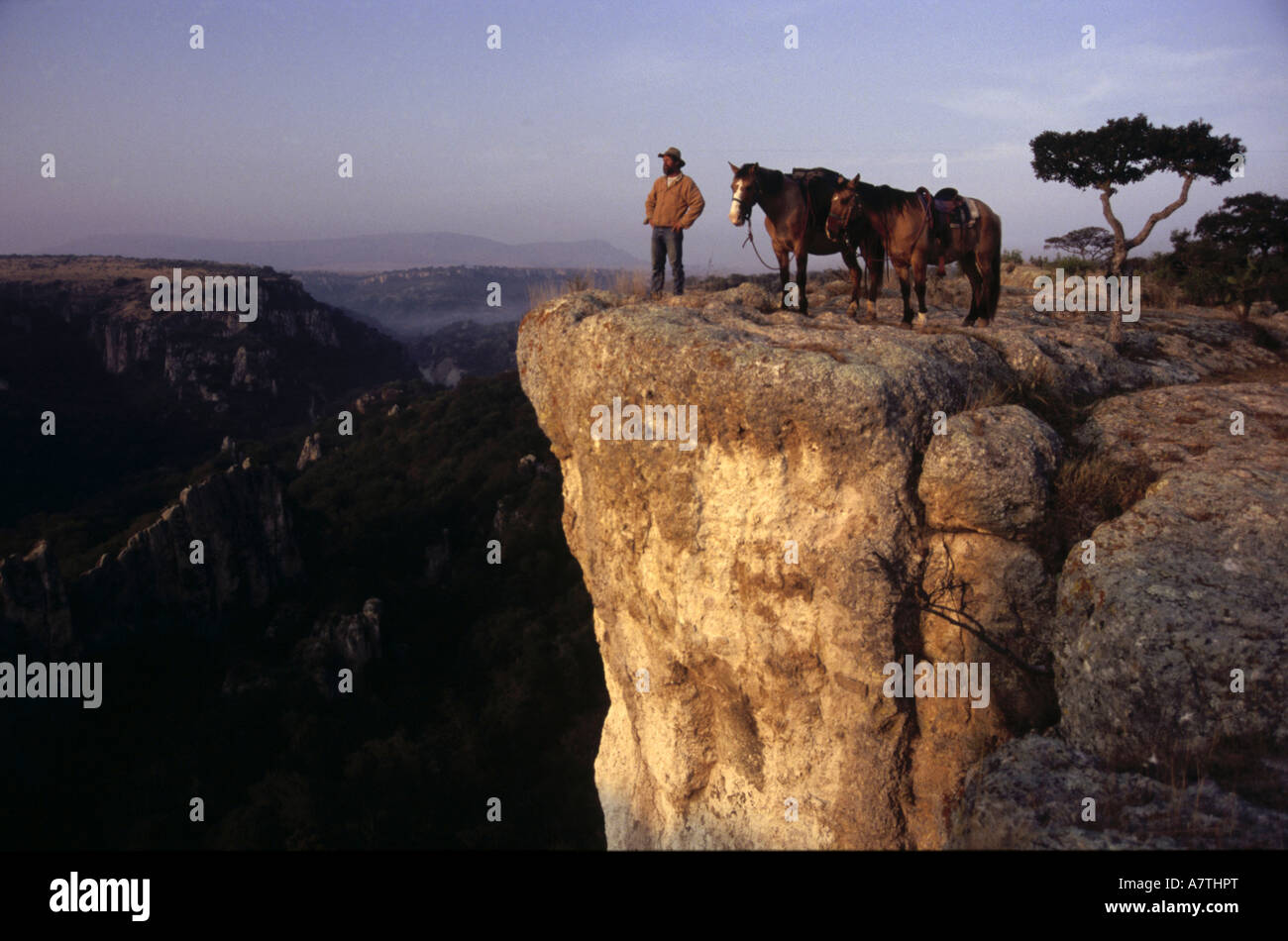 Cowboy standing with horses on cliff, Mexico Stock Photo - Alamy