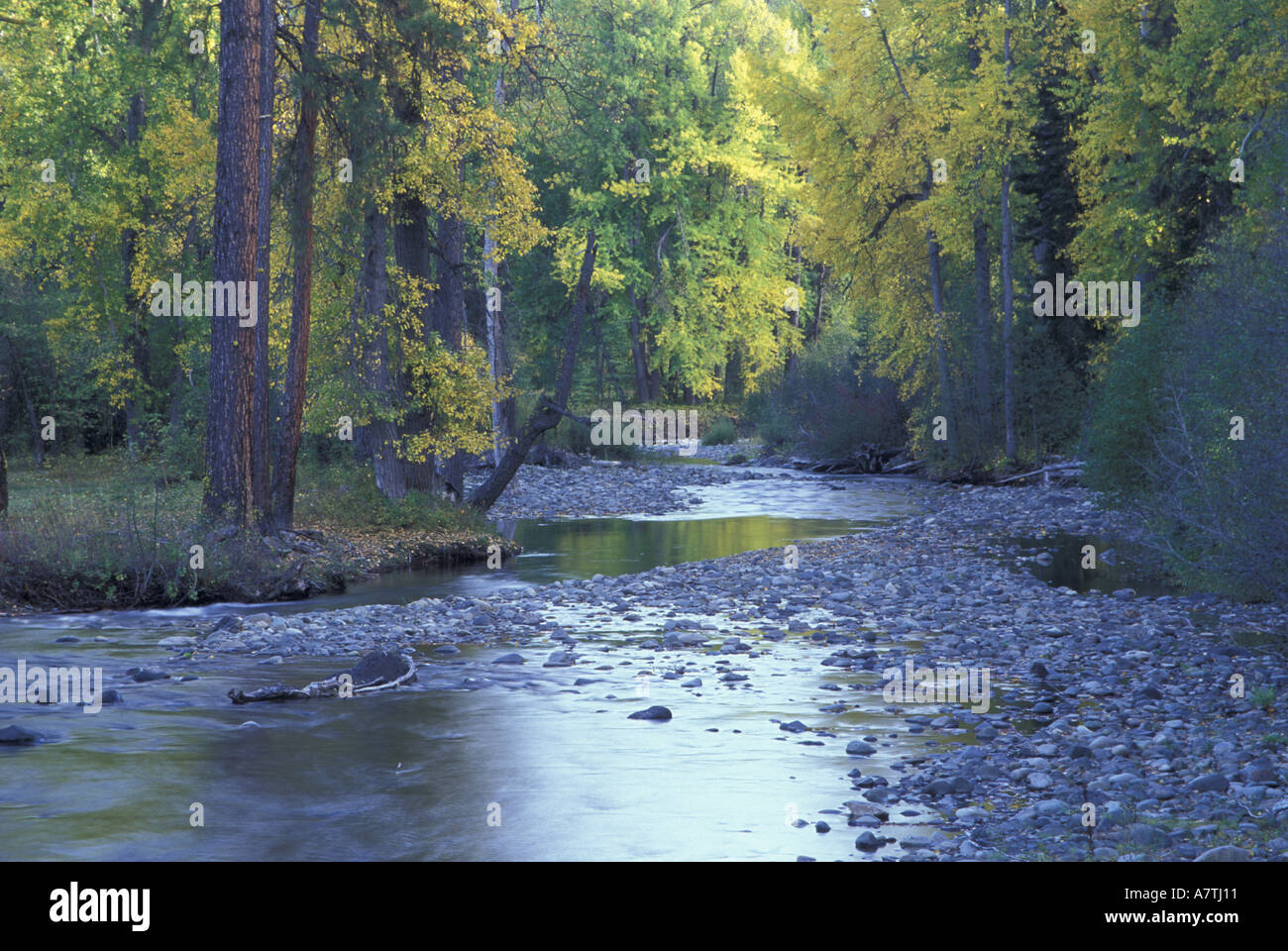 North America, USA, Washington, Wenatchee National Forest. Teanaway ...