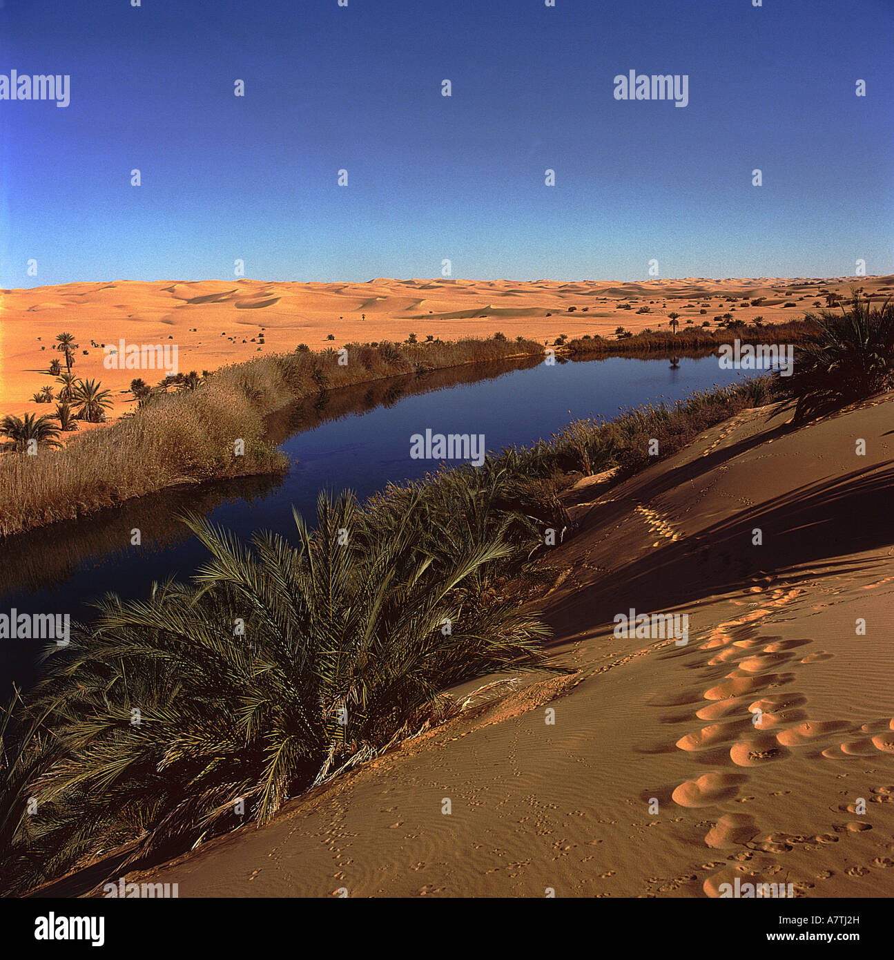 Sand dunes in desert, Libyan Desert, Fezzan, Libya Stock Photo - Alamy