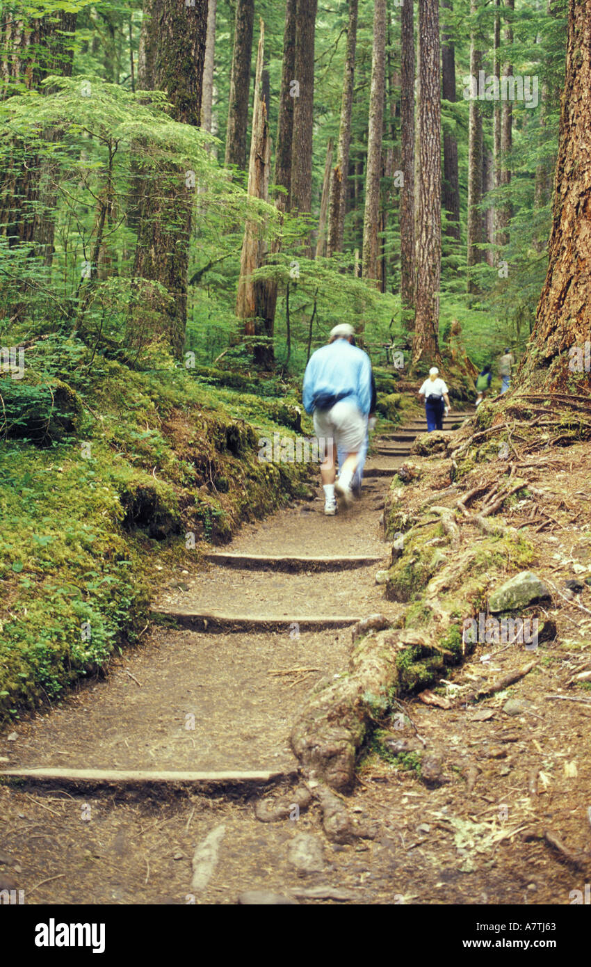 Sol duc falls hike hi-res stock photography and images - Alamy