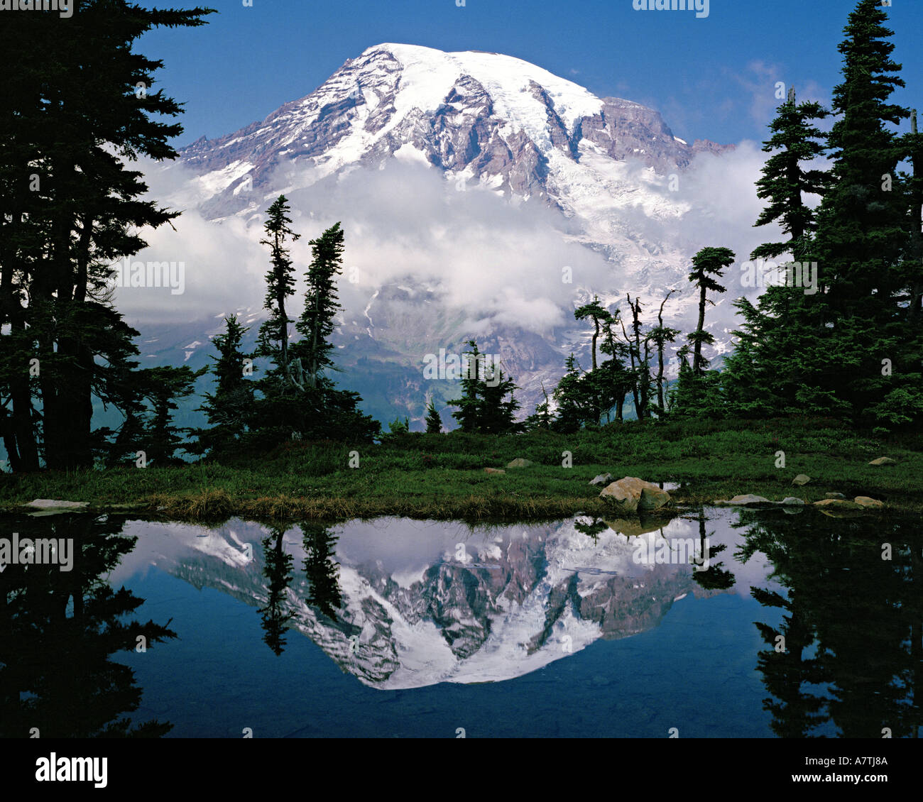 Mount Rainier relected in a mountain tarn (pond), Pinnacle Peak ...