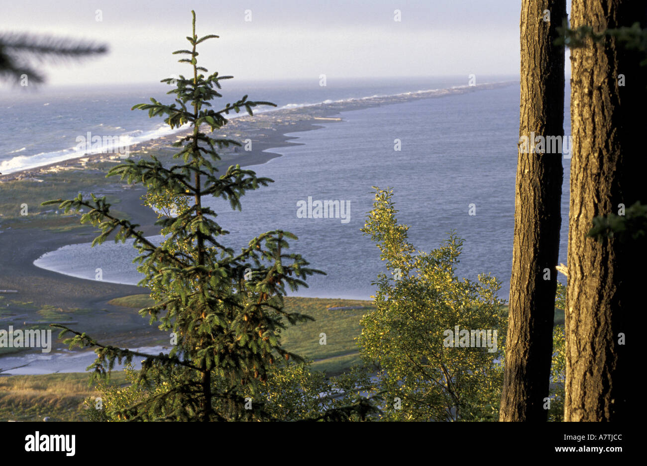 Dungeness spit beach olympic peninsula hi-res stock photography and ...