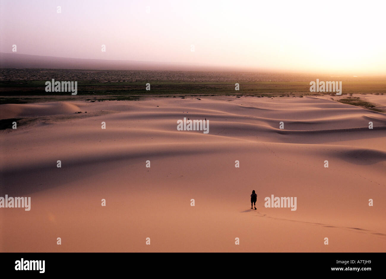 Mongolia, Omnogobi Province, Gobi desert, Khongoryn Els sand dunes ...