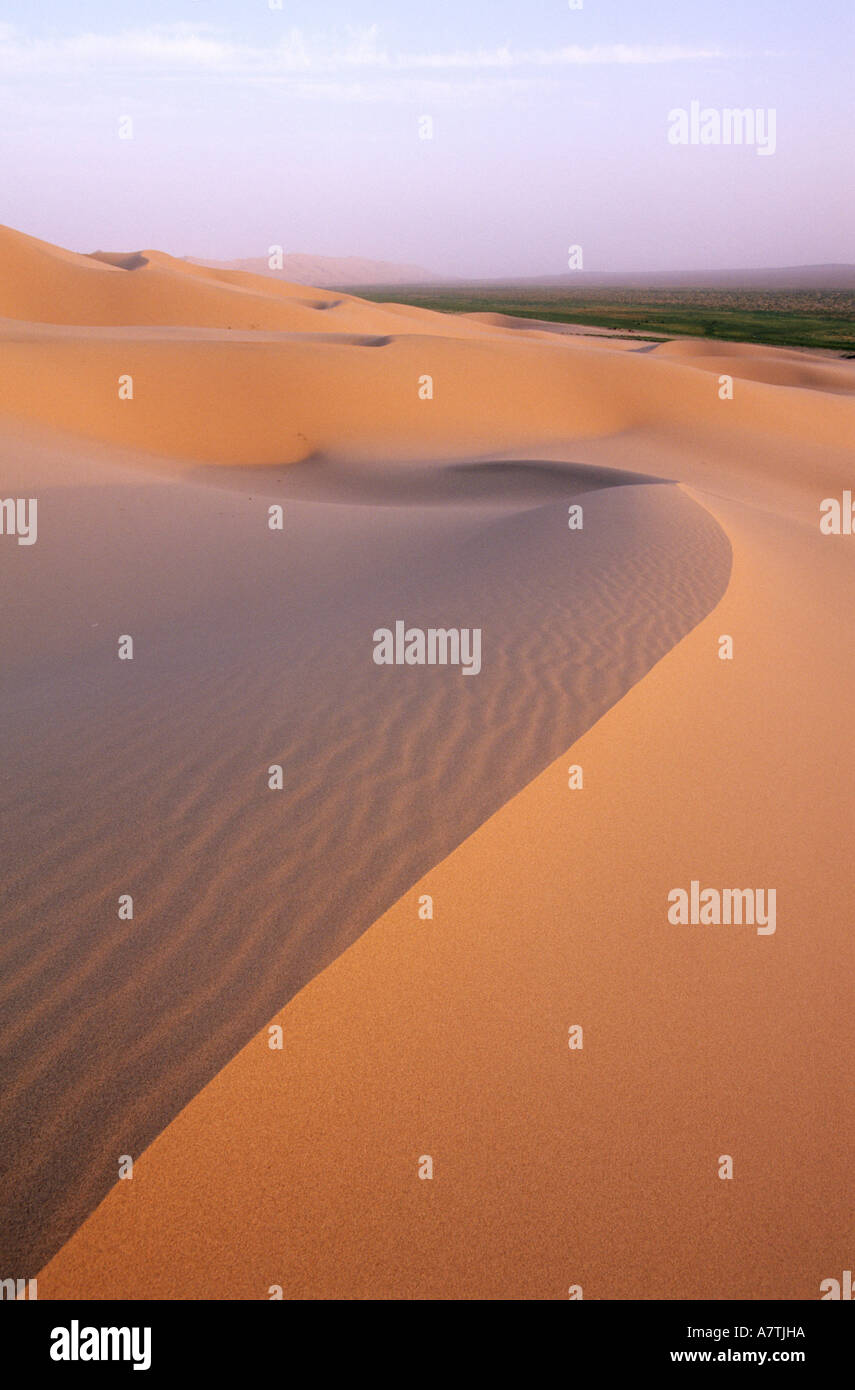 Mongolia, Omnogobi Province, Gobi desert, Khongoryn Els sand dunes ...