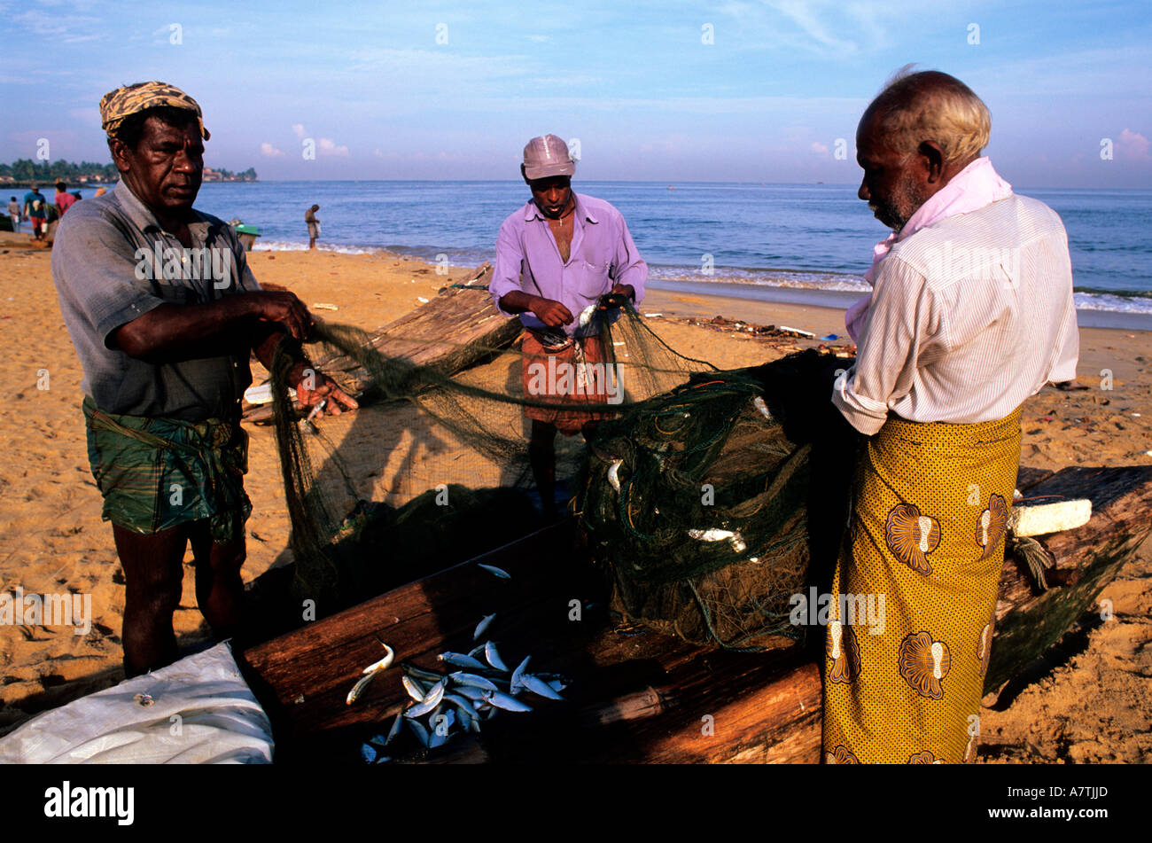 Sri Lanka, Negombo (surroundings of Colombo), return from fishing Stock ...