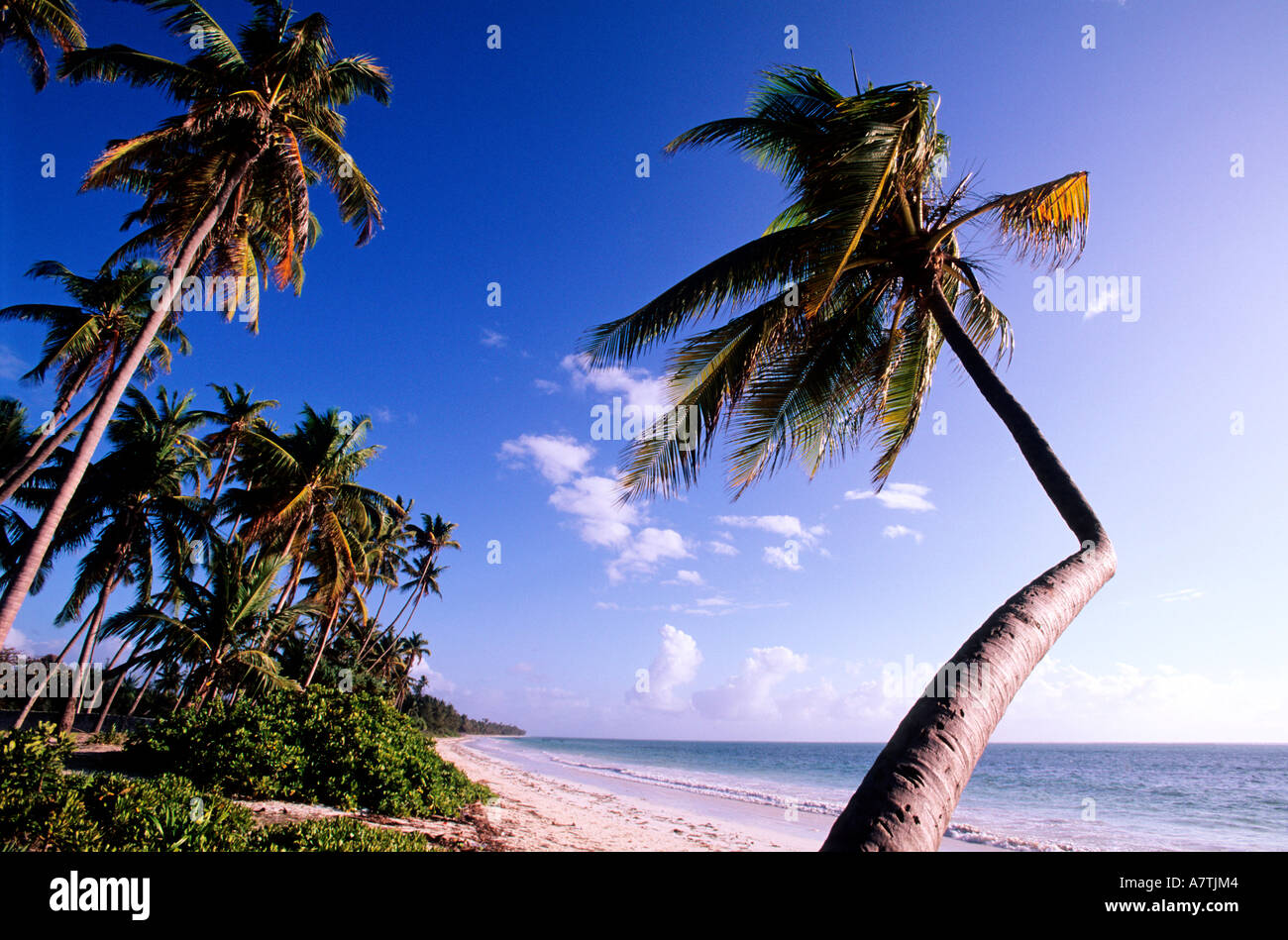 Bwejuu hi-res stock photography and images - Alamy