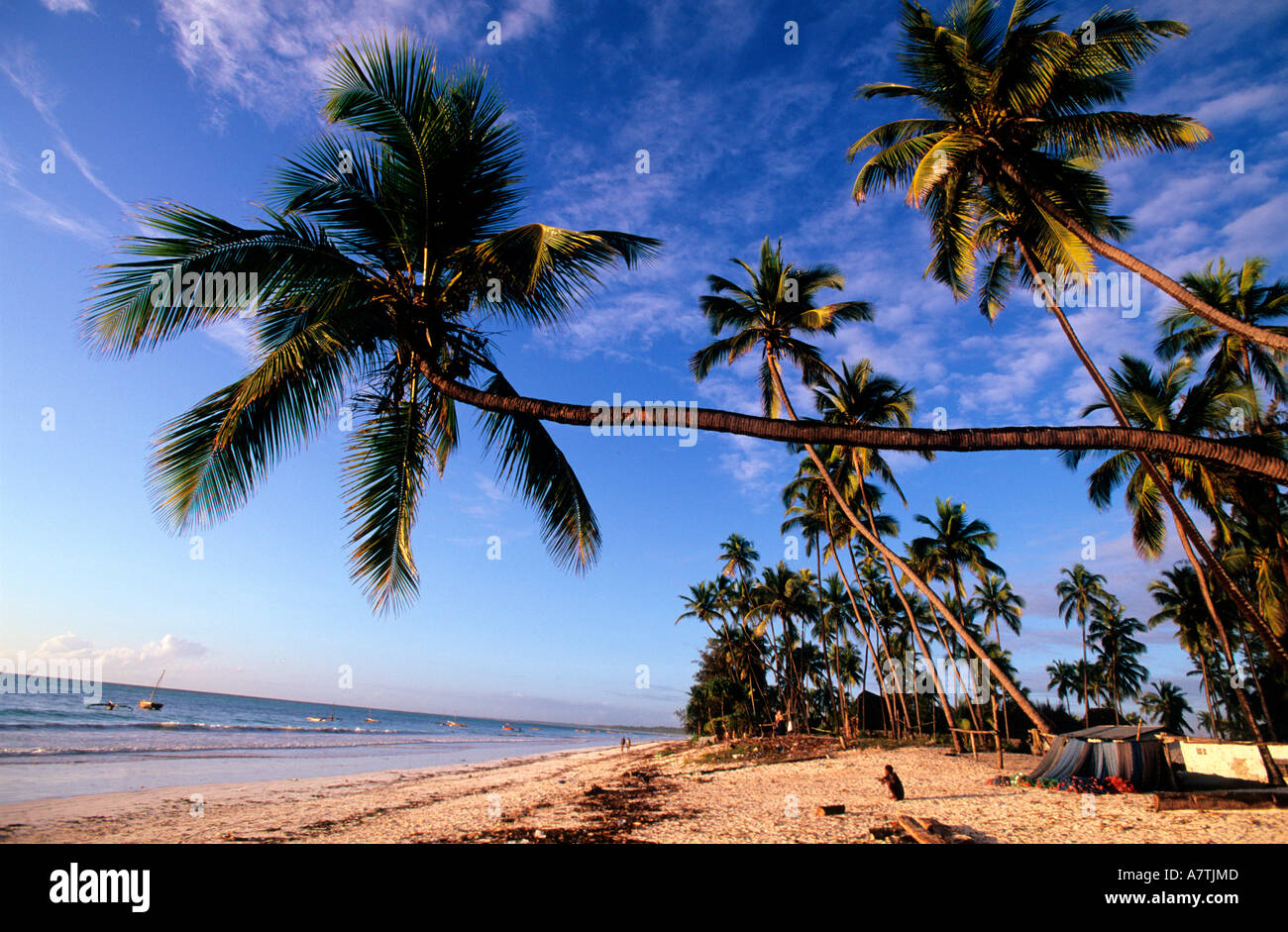 Tanzania, Zanzibar, the beach of Matemwe on the north-Eastern coast ...