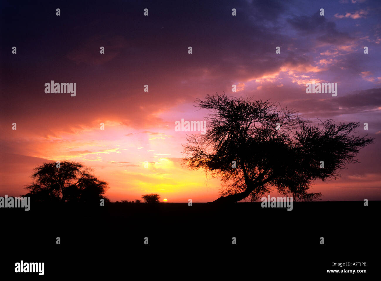 Libya, the Sahara, sunrise in Akakus massif Stock Photo - Alamy