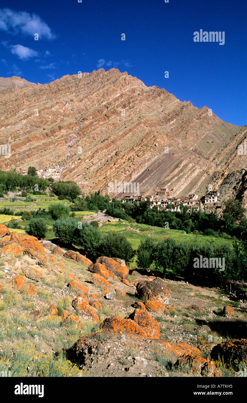 India, Jammu and Kashmir State, Ladakh region, Hemis village Stock ...