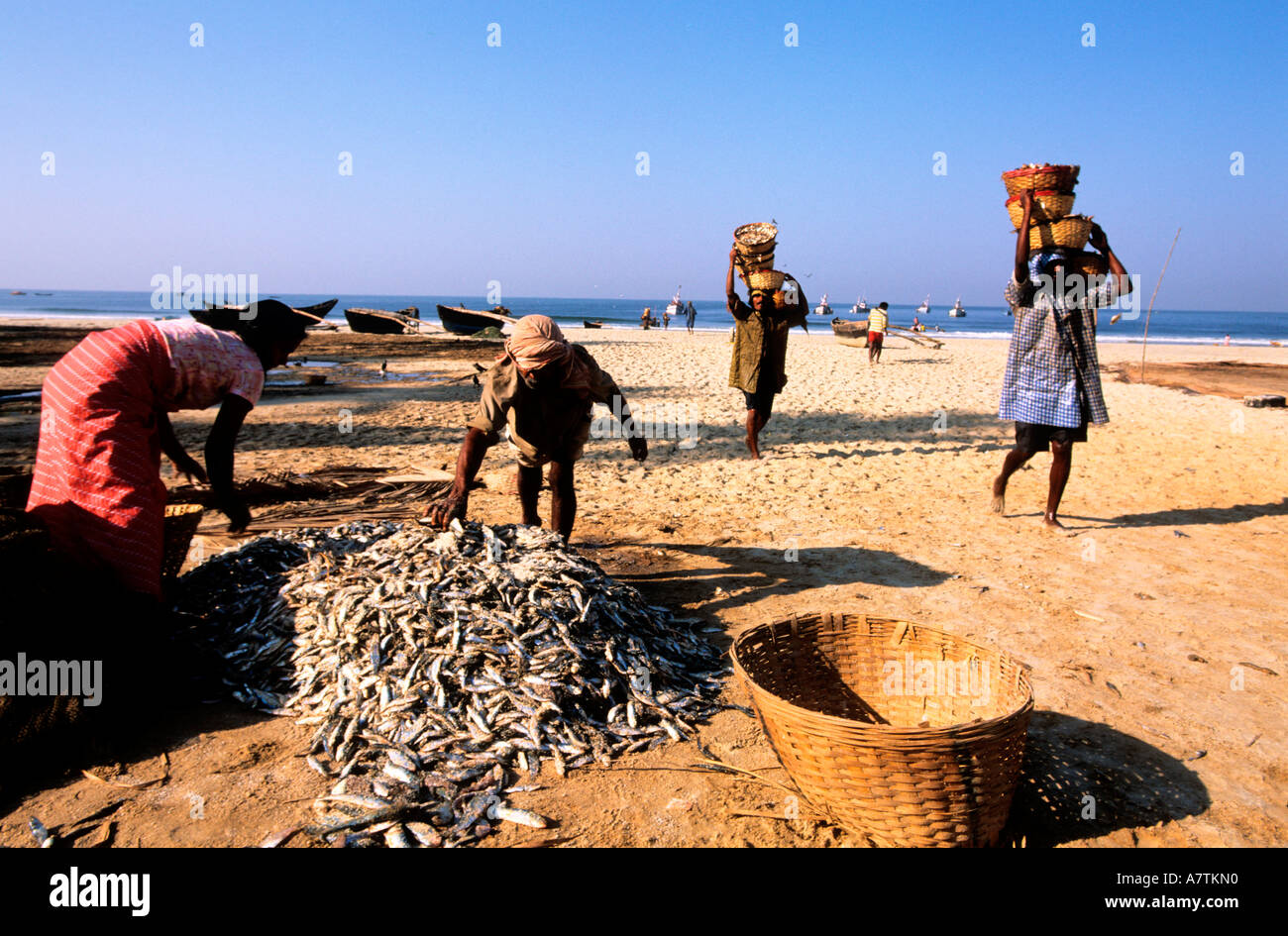 India, Goa State, fishermen at Colva beach Stock Photo - Alamy