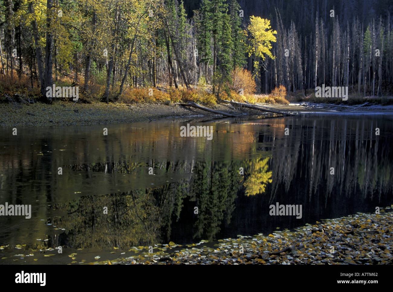 Little eight mile lake hi-res stock photography and images - Alamy