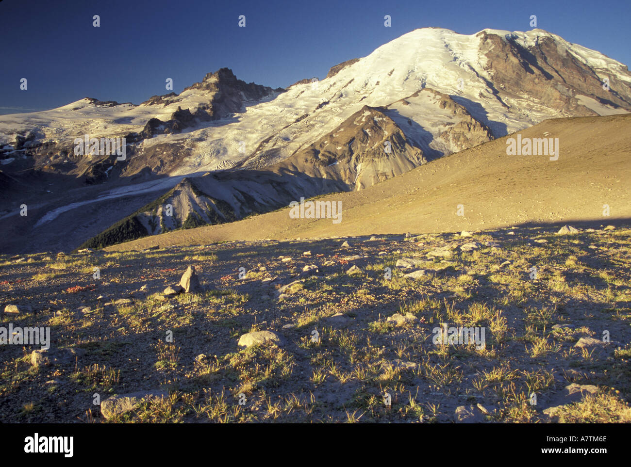 Overlook mt rainier hi-res stock photography and images - Alamy