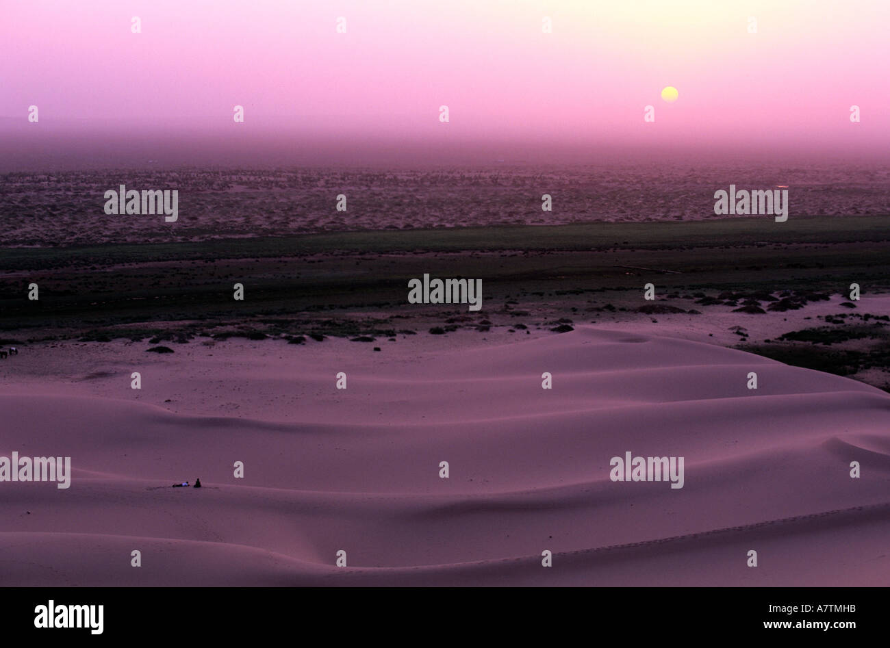 Mongolia, Omnogobi Province, Gobi desert, Khongoryn Els sand dunes ...