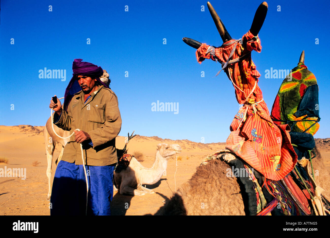 Libya Tuareg Camel Africa Desert High Resolution Stock Photography and ...