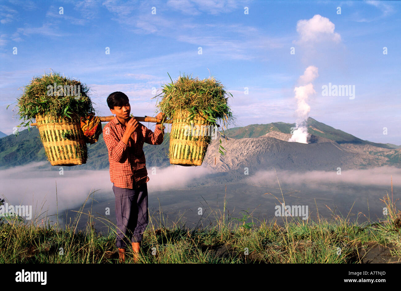 Indonesia, Java, active volcano of Mount Bromo Stock Photo - Alamy