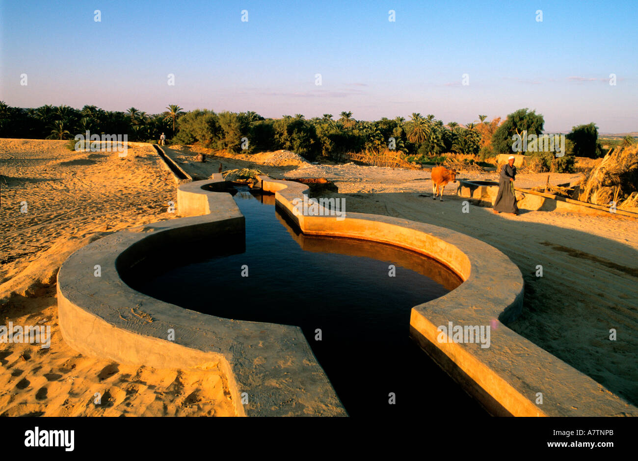 Hot spring egypt hi-res stock photography and images - Alamy