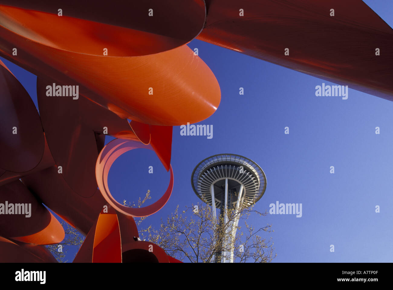 USA, WA, Seattle, Seattle Center. Sculpture and Space Needle Stock ...