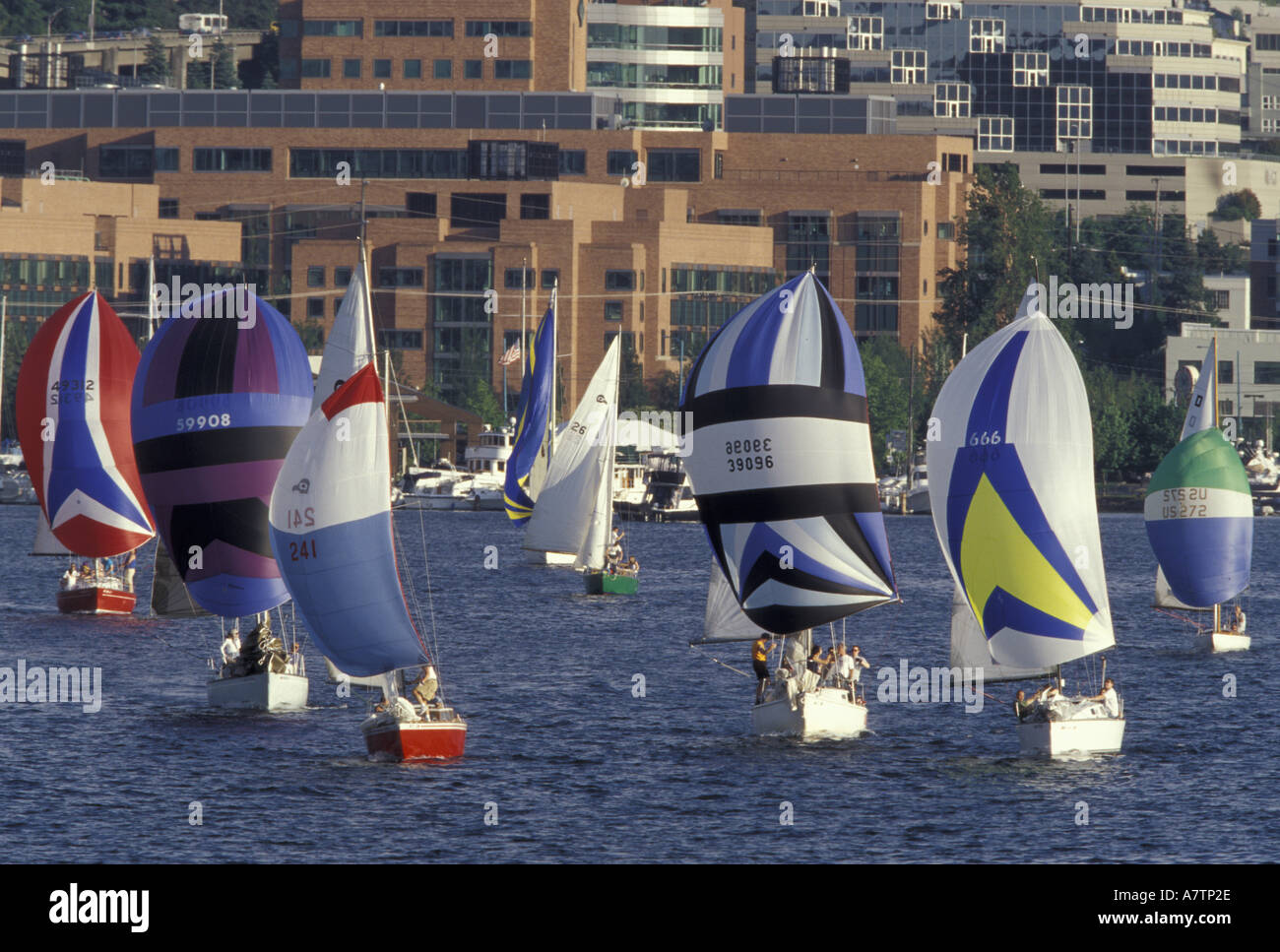 Duck and dodge hi-res stock photography and images - Alamy