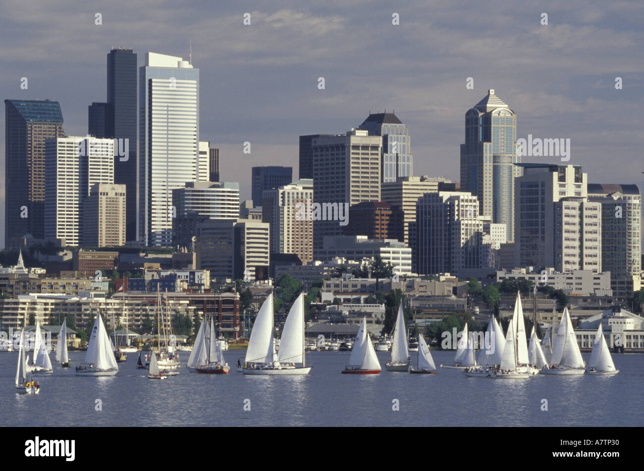 USA, WA, Seattle, Lake Union. Duck Dodge Sailboat Race Stock Photo - Alamy
