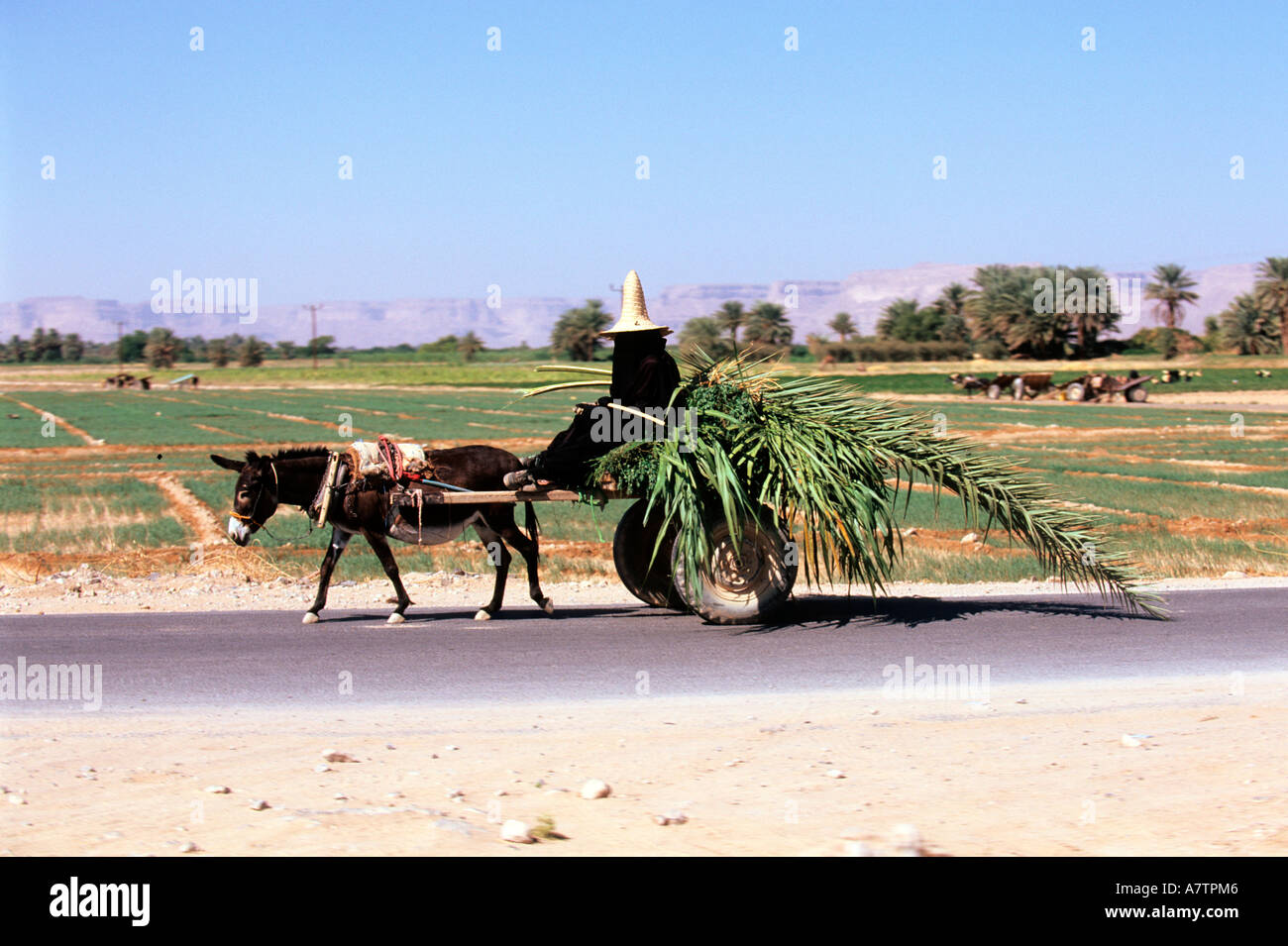 Peasant Hat High Resolution Stock Photography and Images - Alamy