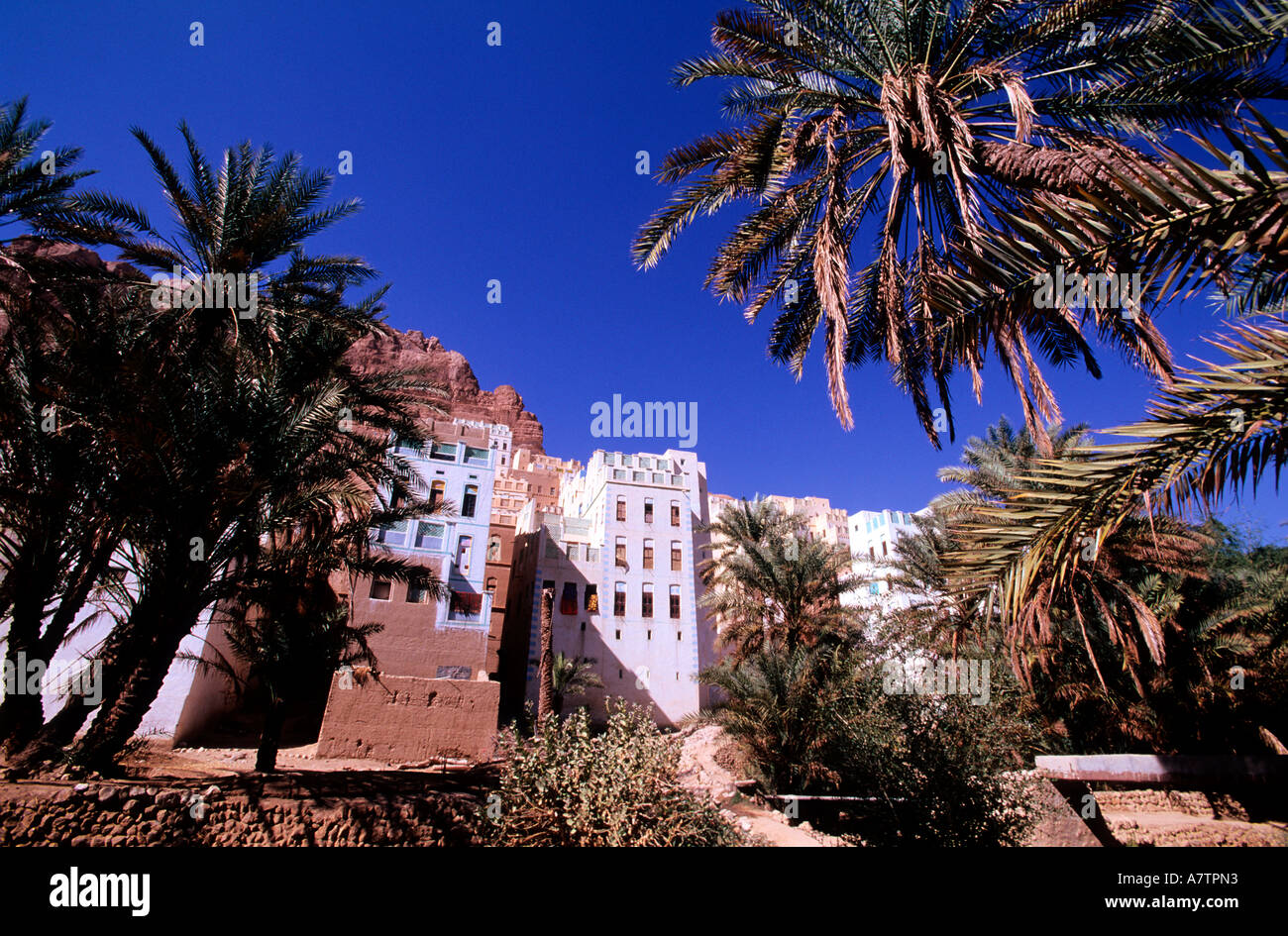 Yemen, province of Hadramaout, Bada village in the Wadi Do’An Stock ...