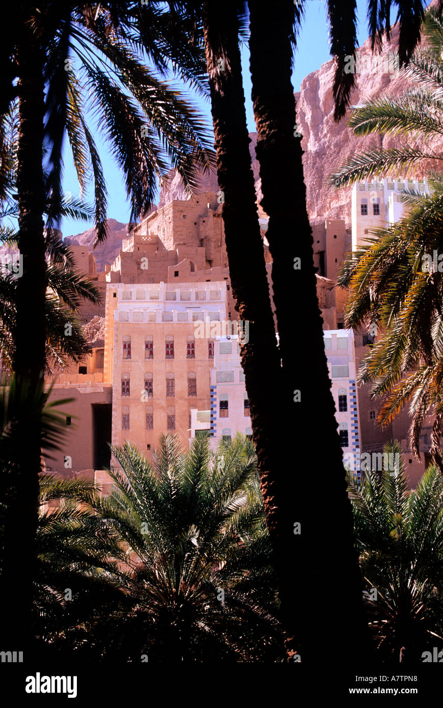 Province of hadramaout hi-res stock photography and images - Alamy