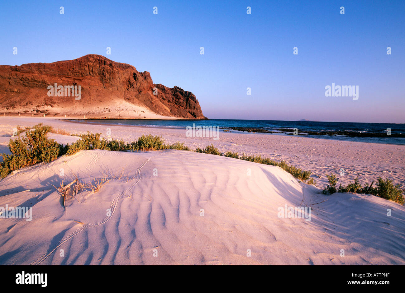 Indian bir hi-res stock photography and images - Alamy