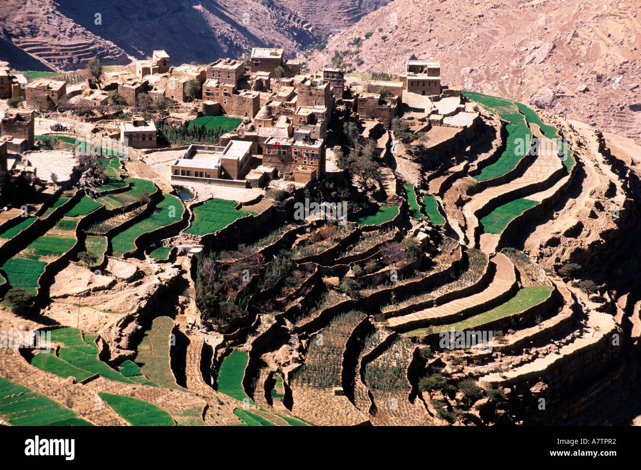 Yemen agriculture not field not terrace hi-res stock photography and ...