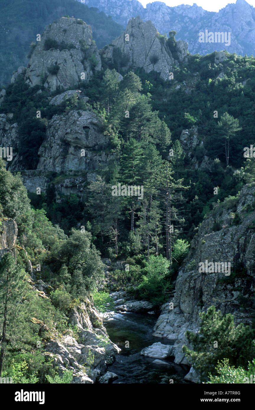 High angle view of ravine in valley, France Stock Photo - Alamy