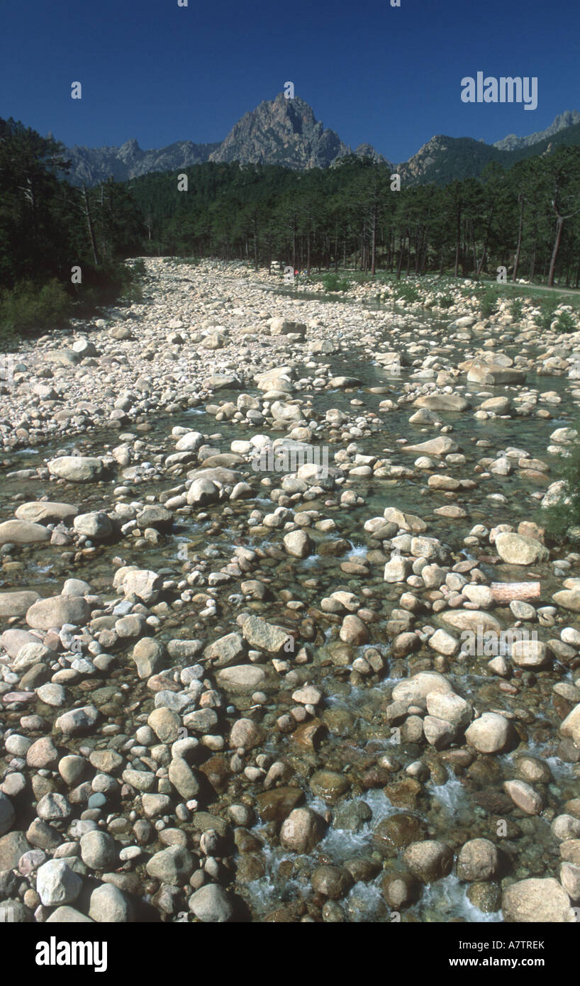 Stream flowing through forest, France Stock Photo - Alamy