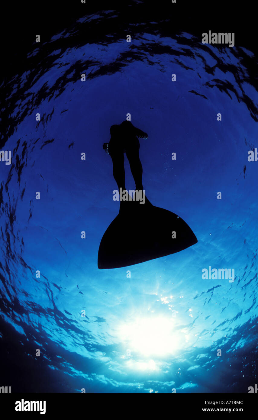 Monofin hi-res stock photography and images - Alamy