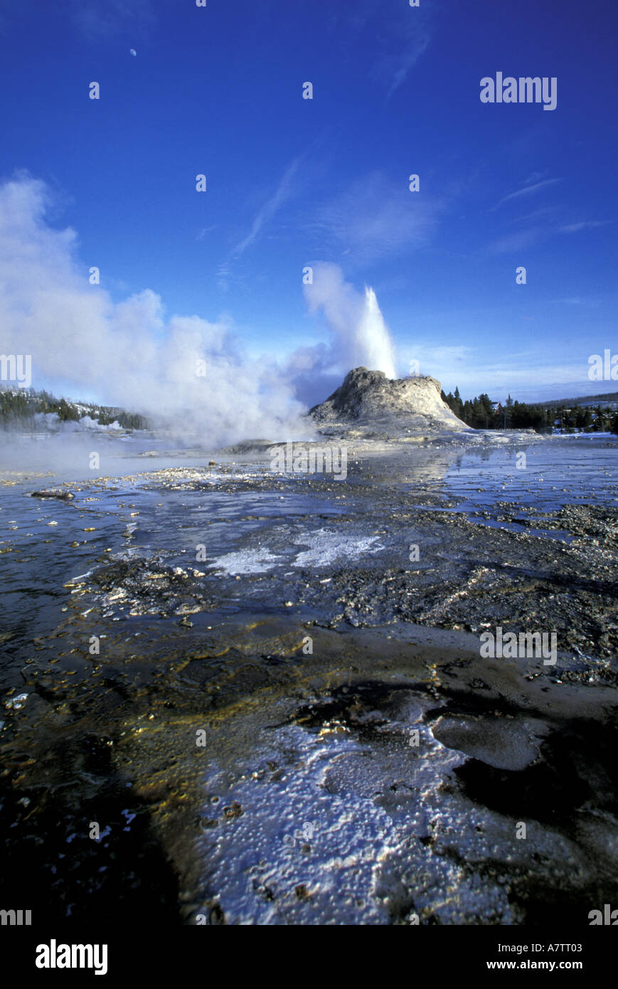 Wyoming, Yellowstone NP, Upper Geyser Basin. Castle Geyser spouts water ...