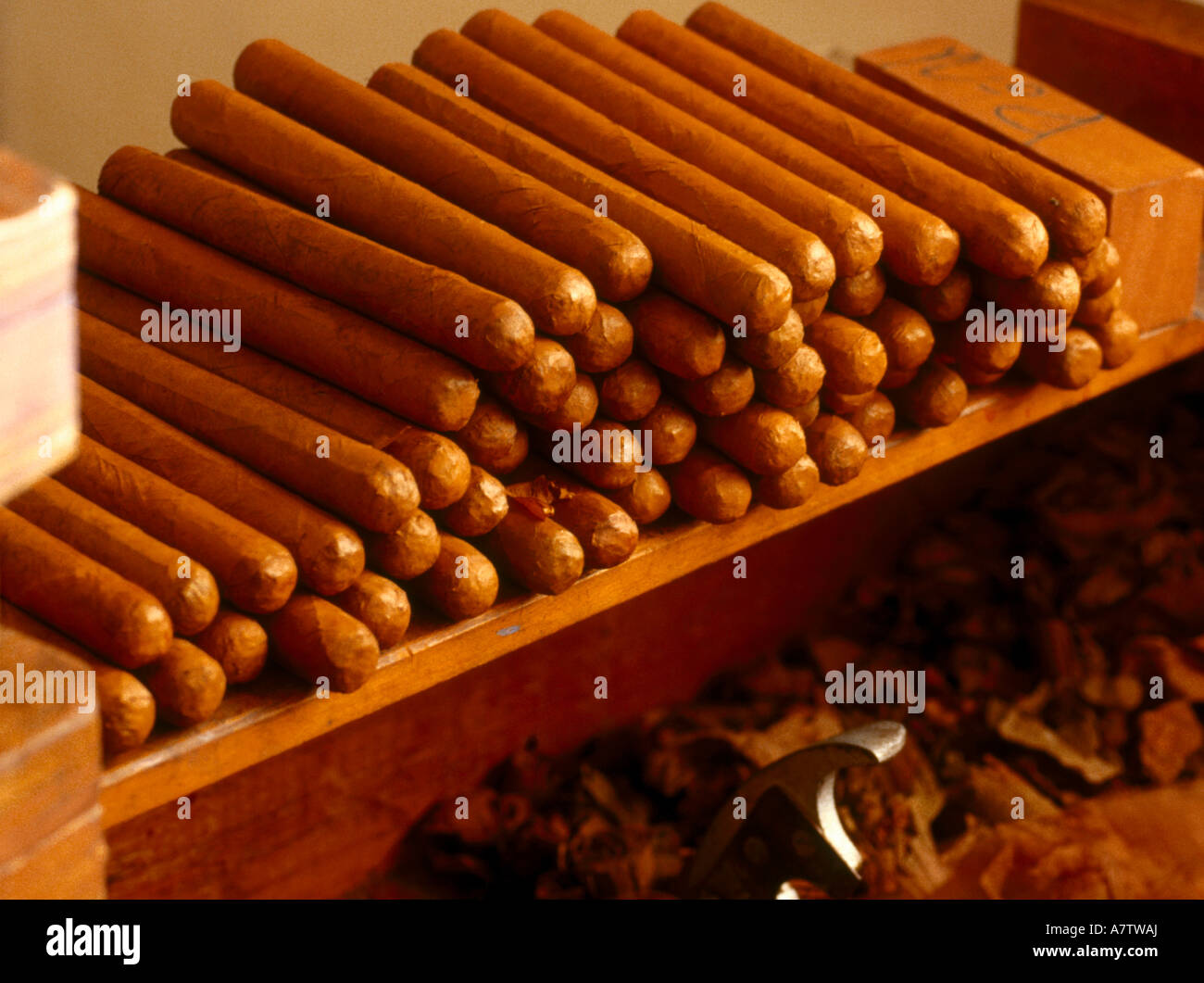 Stack of cigars on wooden slab, Panama Stock Photo - Alamy