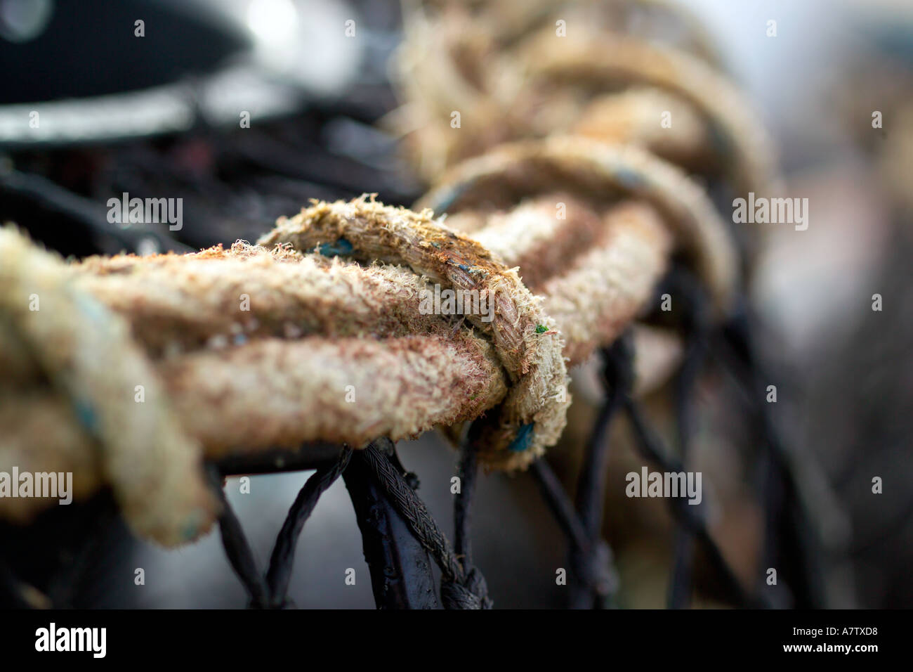 rope edge of lobster pot Stock Photo - Alamy