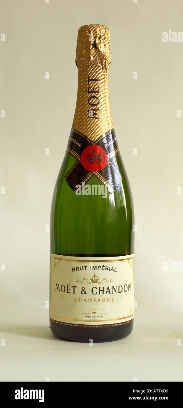 bottle of champagne on plain cream background Stock Photo - Alamy