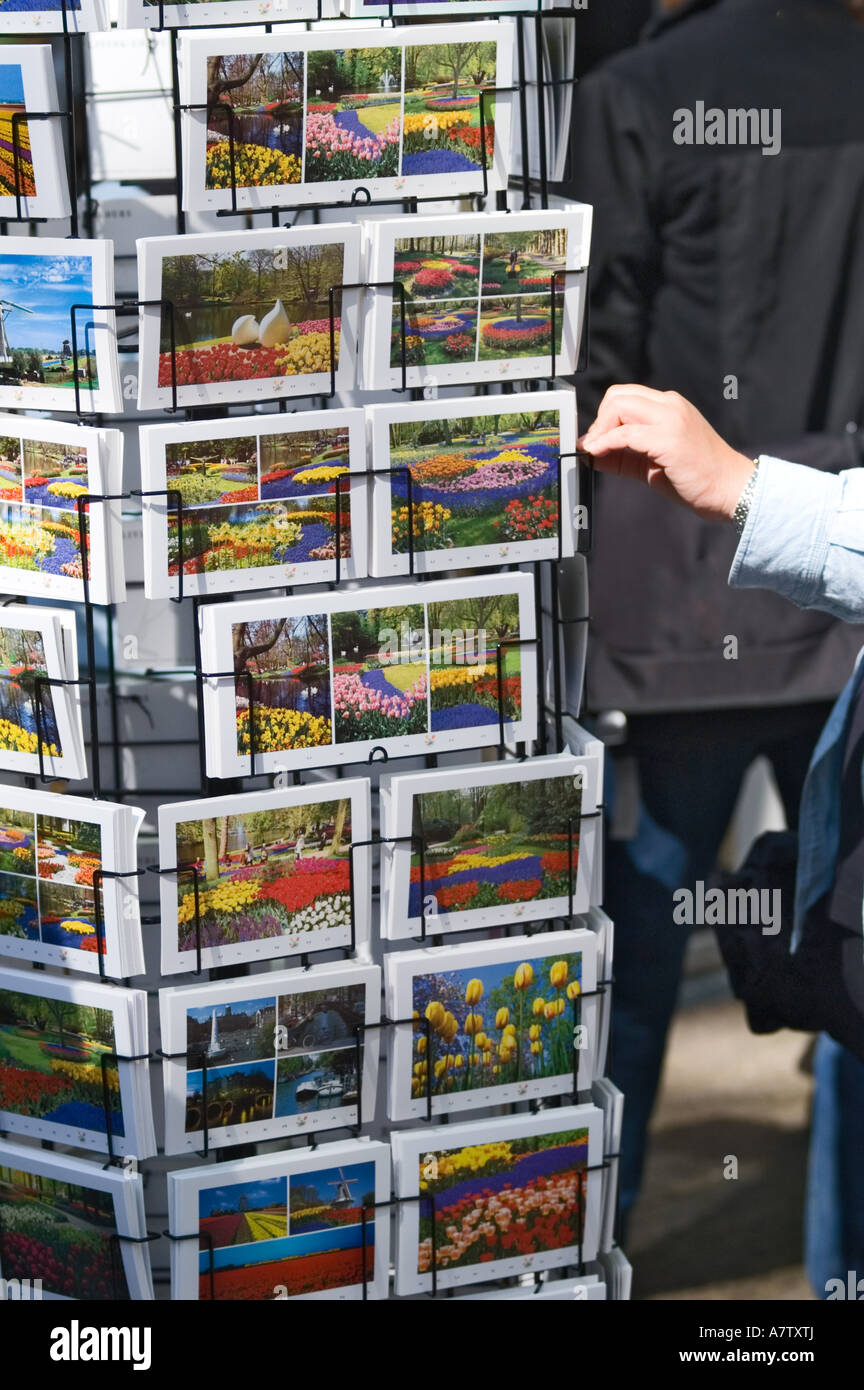 a hand picking a postcard from a stand Stock Photo - Alamy
