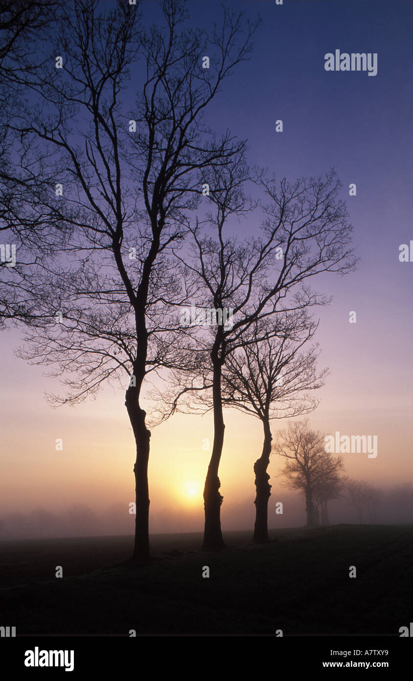 Allier dep hi-res stock photography and images - Alamy