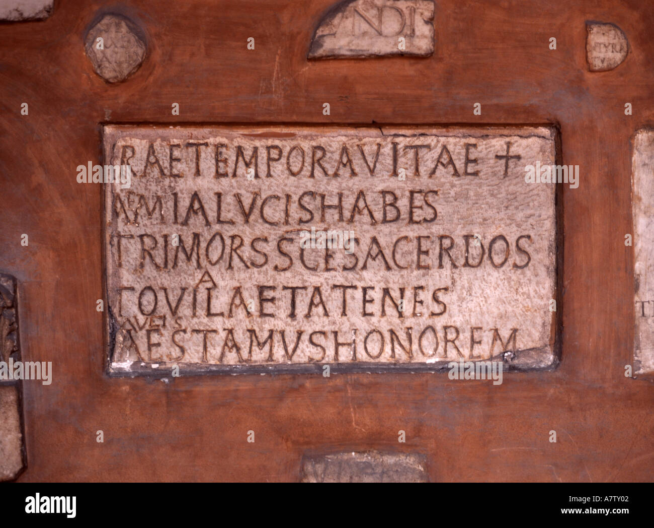 Latin language hi-res stock photography and images - Alamy