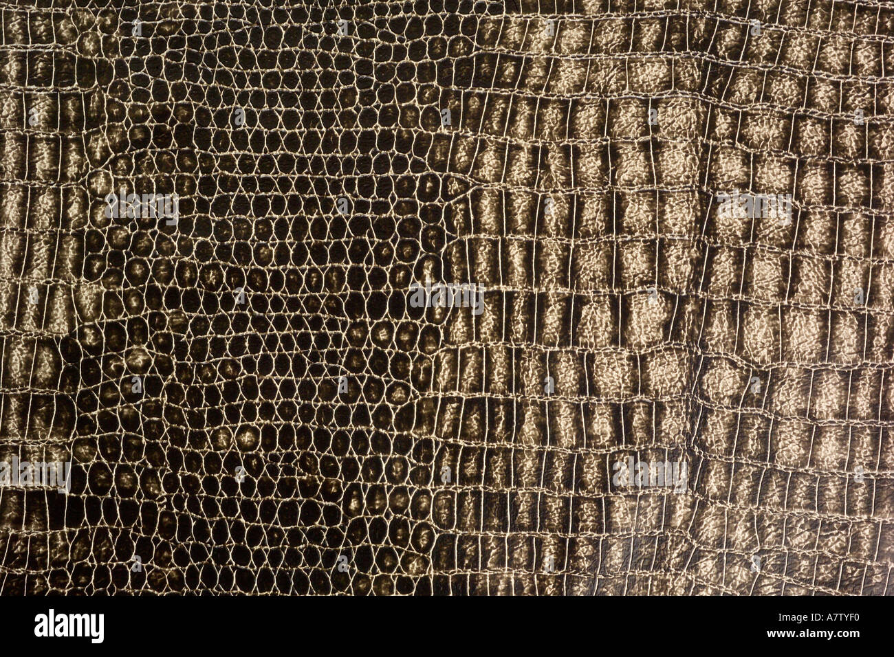 snakeskin fabric swatch Stock Photo - Alamy