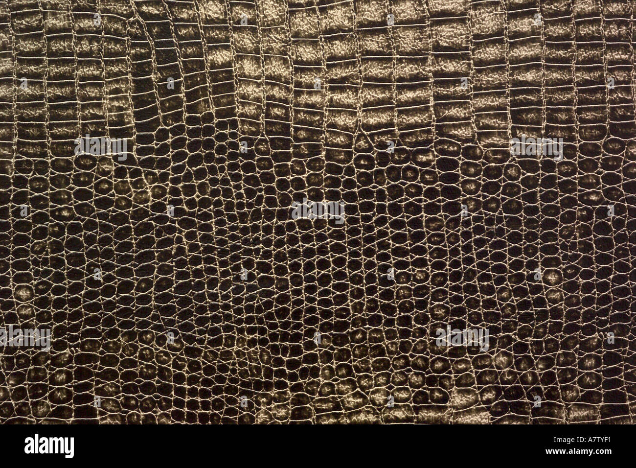 Snakeskin fabric hi-res stock photography and images - Alamy