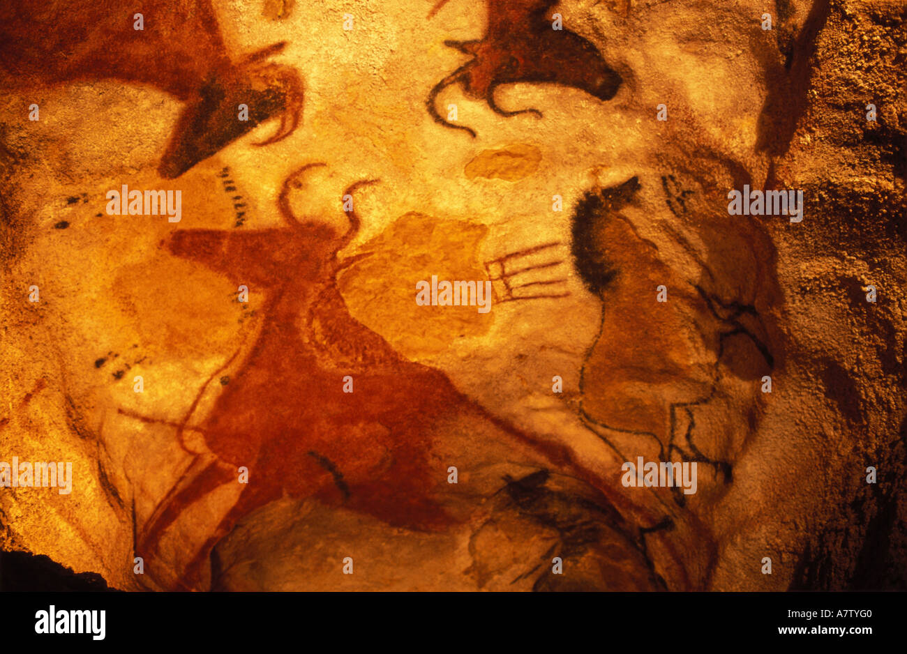 France, Dordogne, Perigord Noir, rupestr paintings of the caves of ...