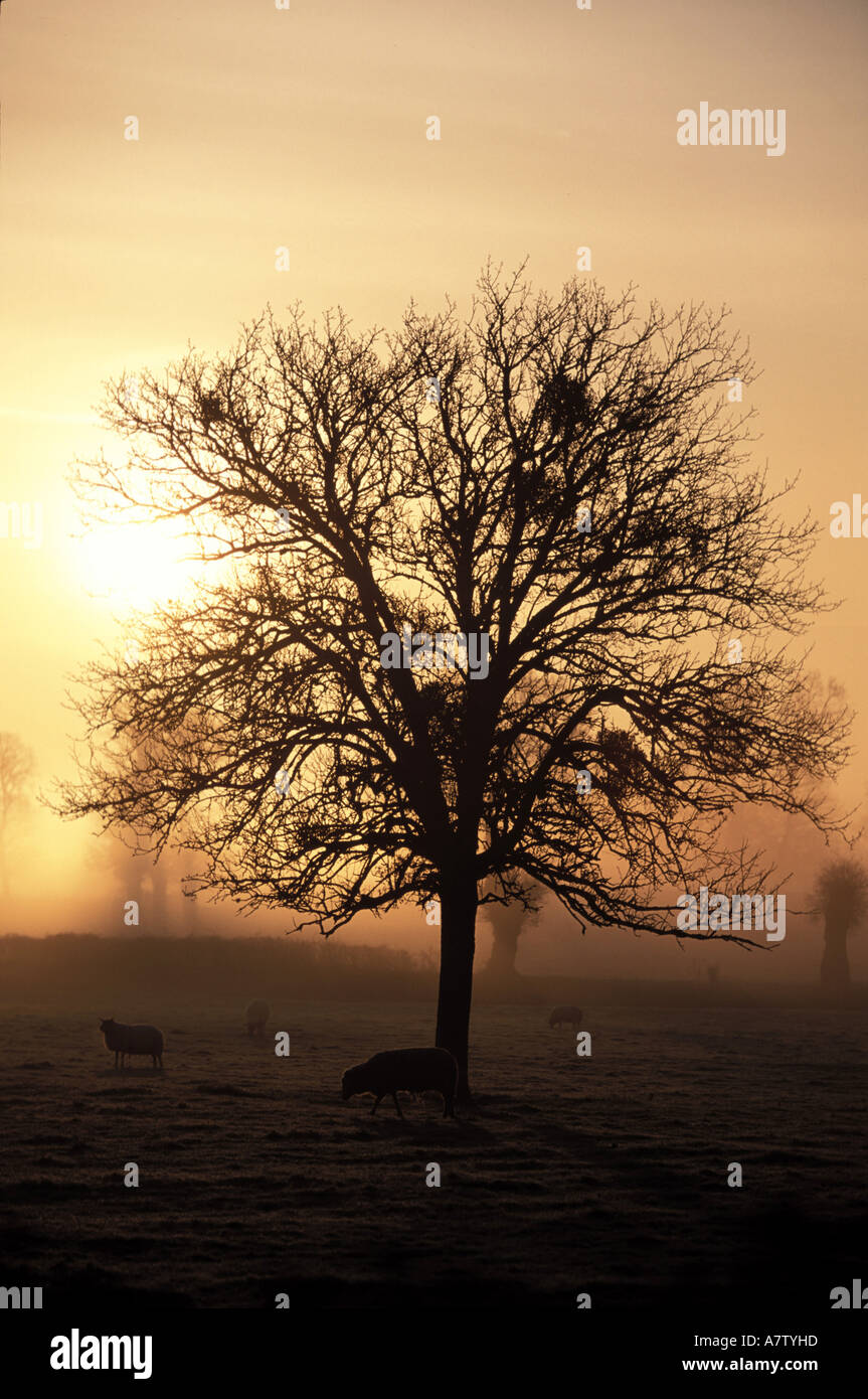 Allier dep hi-res stock photography and images - Alamy
