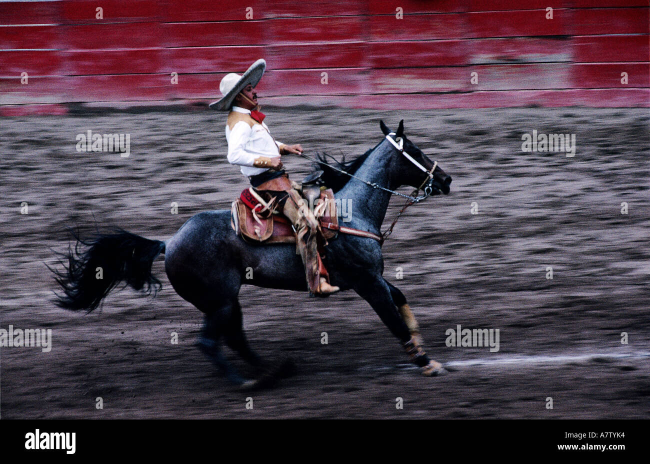 Charro traditional horseman mexico hi-res stock photography and images ...