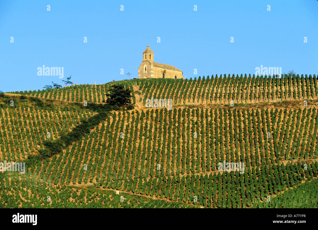 Fleurie france wine hi-res stock photography and images - Alamy