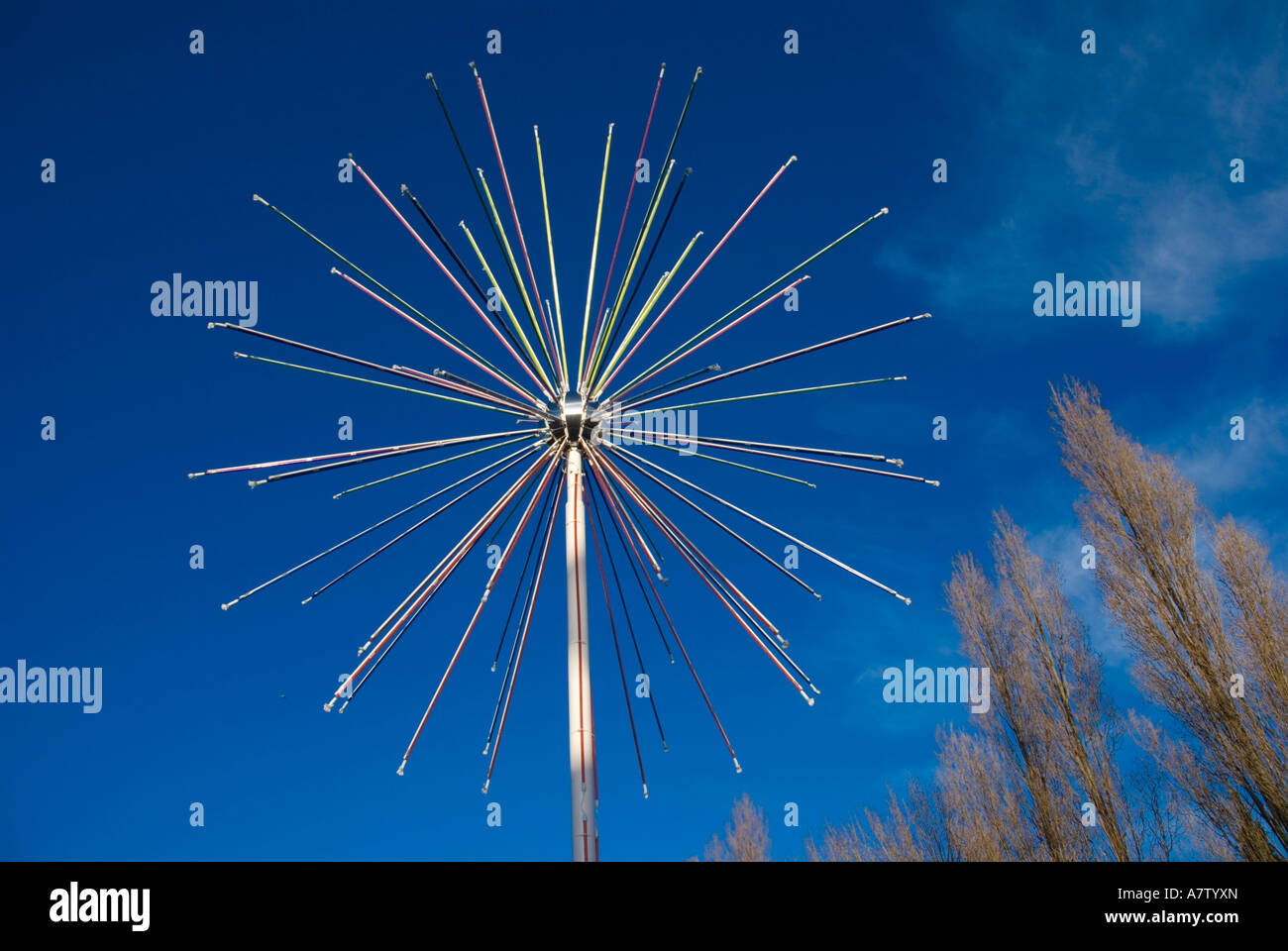 Upward view crowns trees hi-res stock photography and images - Alamy